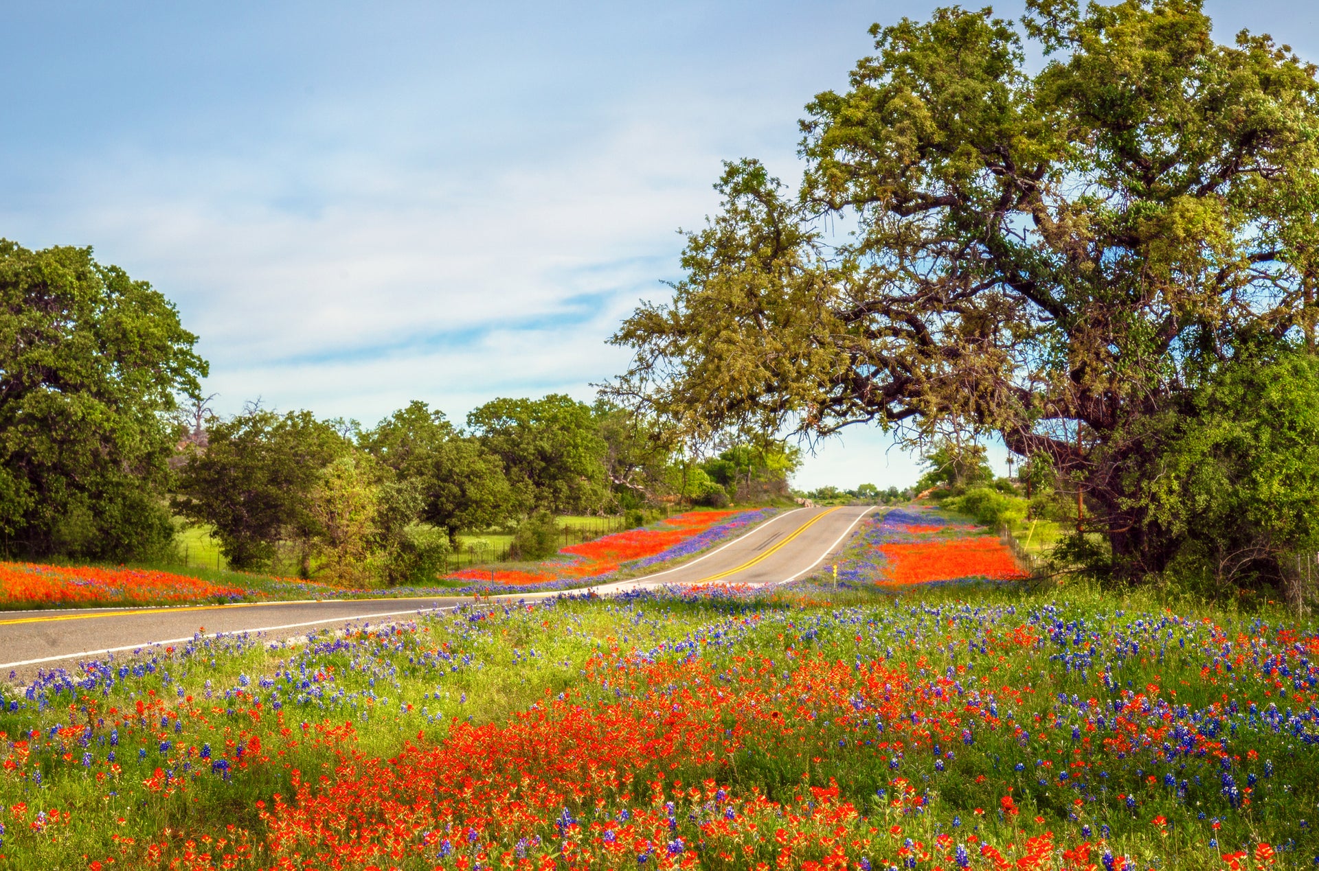 3 unique road trips you can take from Houston in 4 hours or less - The ...