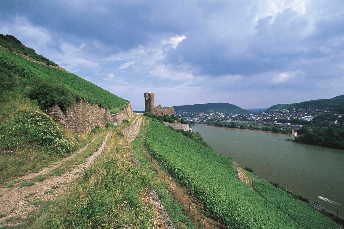 4 reasons you should visit Germany in the summer - The Points Guy
