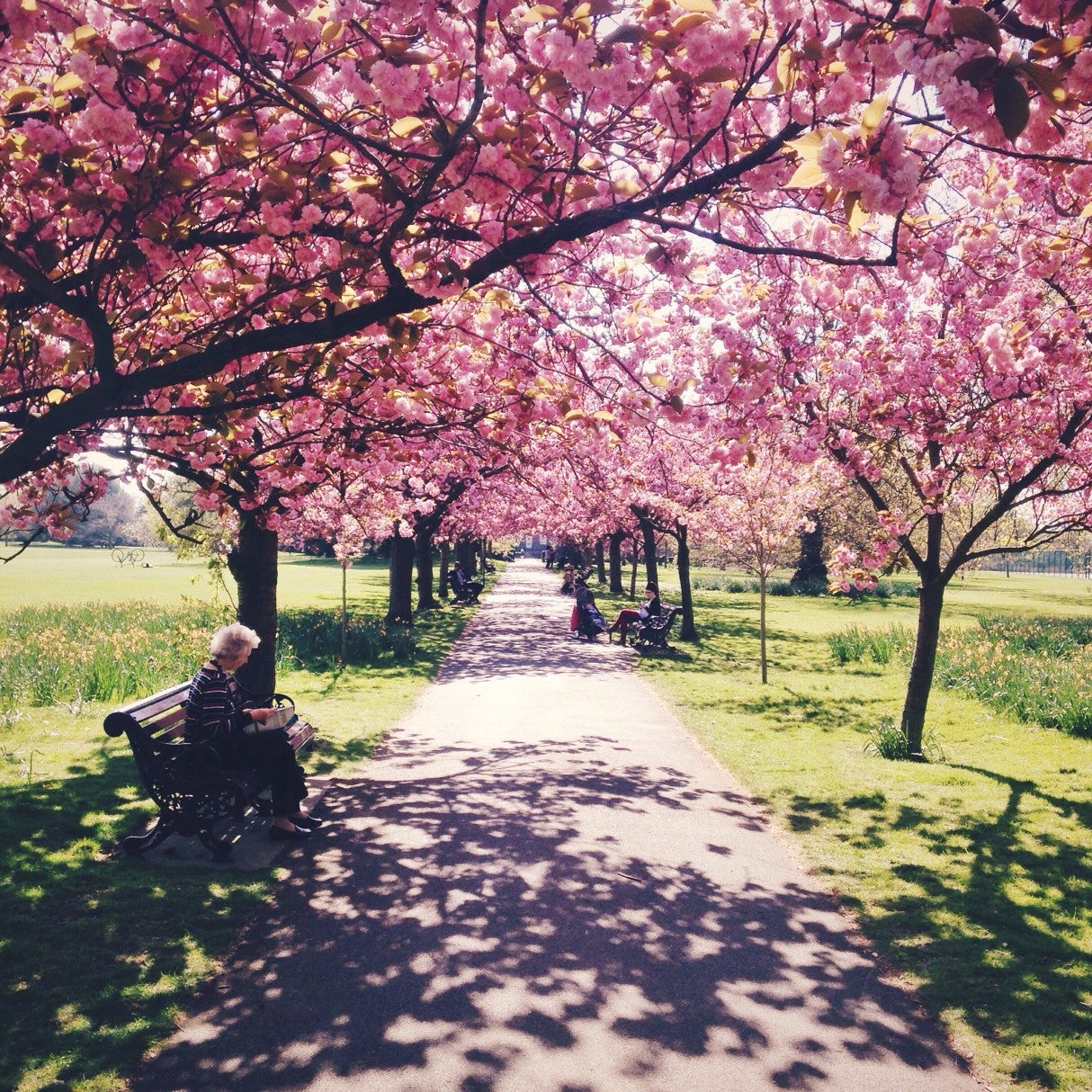 The complete guide to London's parks and green spaces - The Points Guy