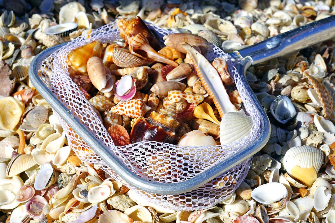 The best things to do on Florida’s Sanibel and Captiva islands - The ...