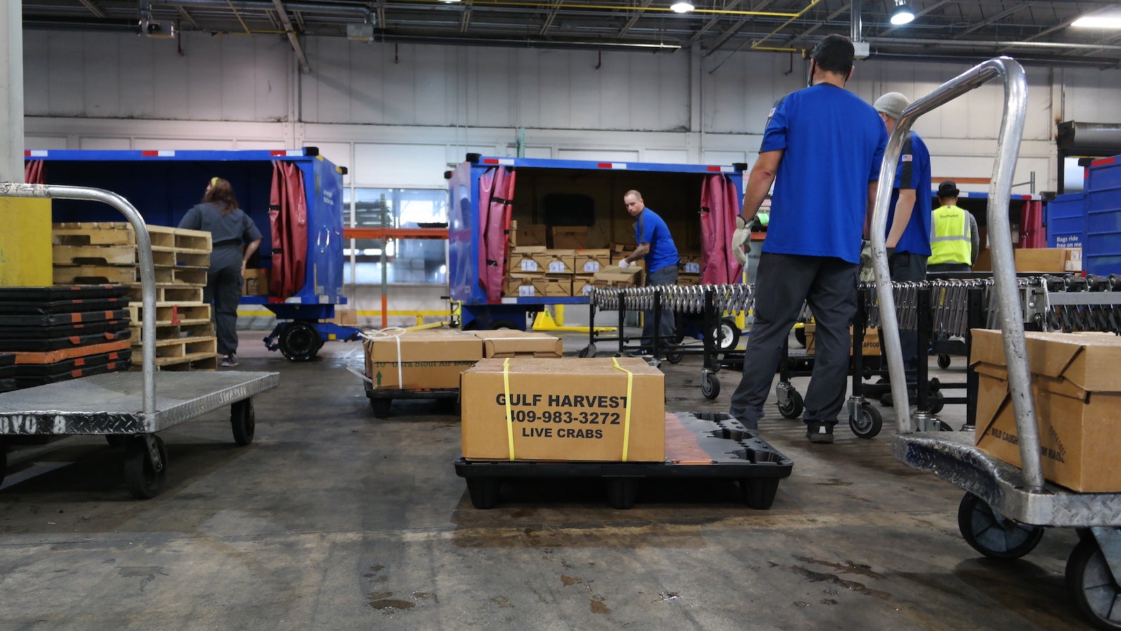 Southwest preps for holiday cargo at its Baltimore base - The Points Guy