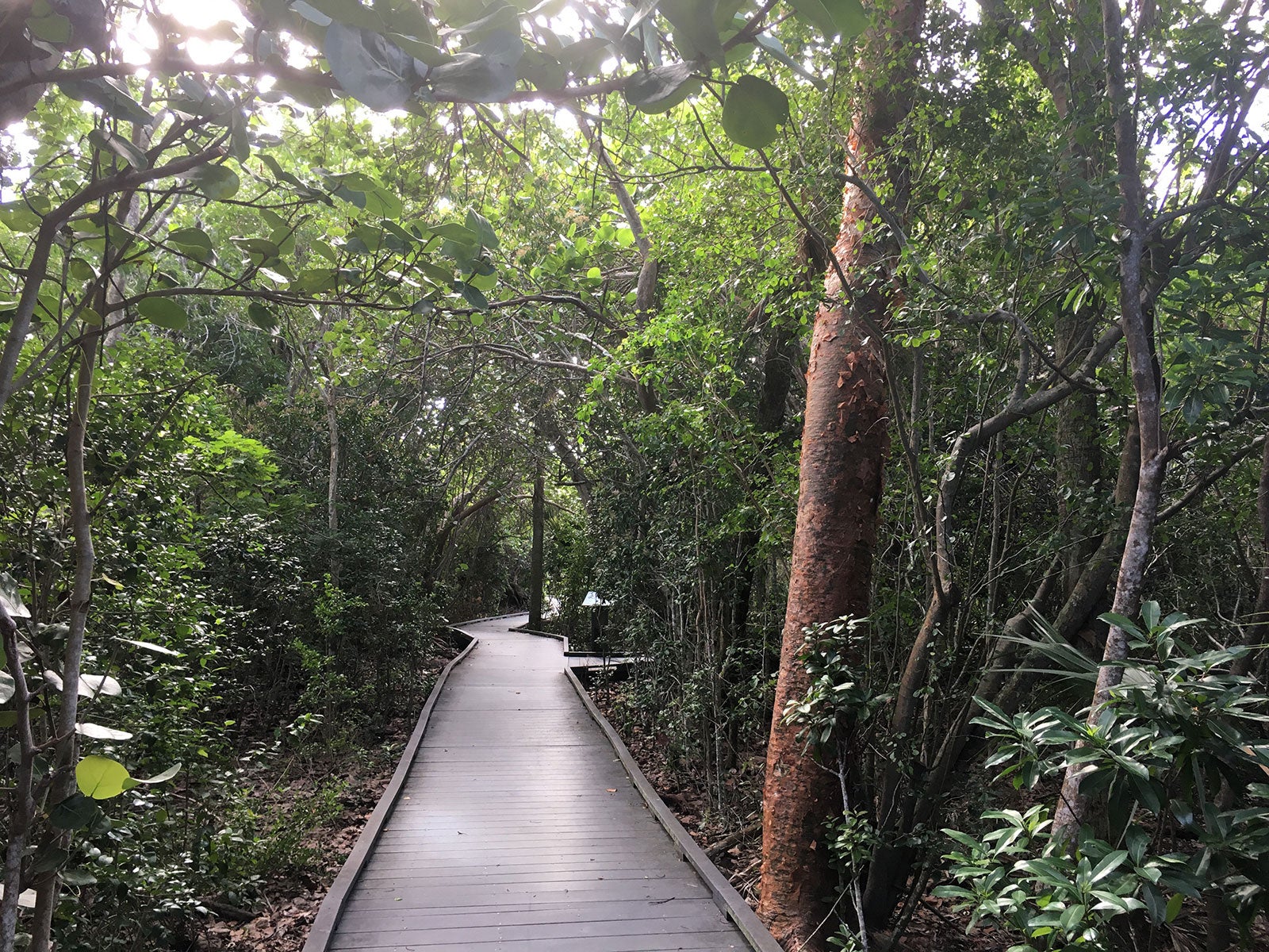 The best things to do on Florida’s Sanibel and Captiva islands - The ...