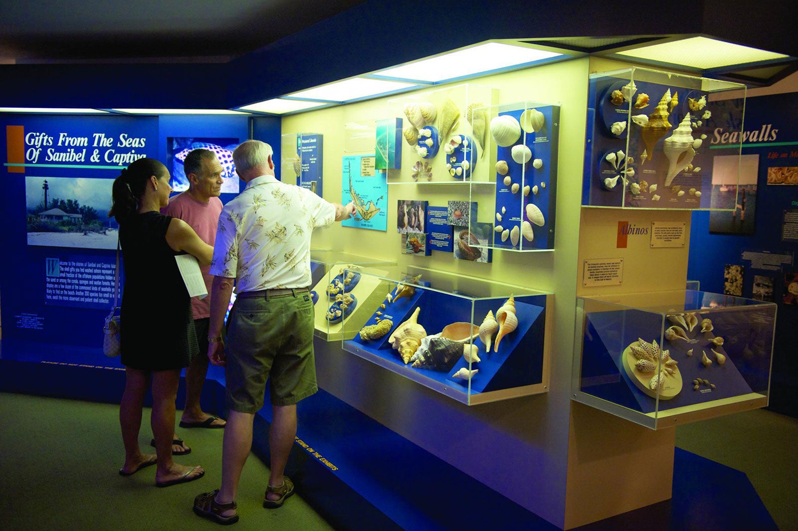 The best things to do on Florida’s Sanibel and Captiva islands - The ...