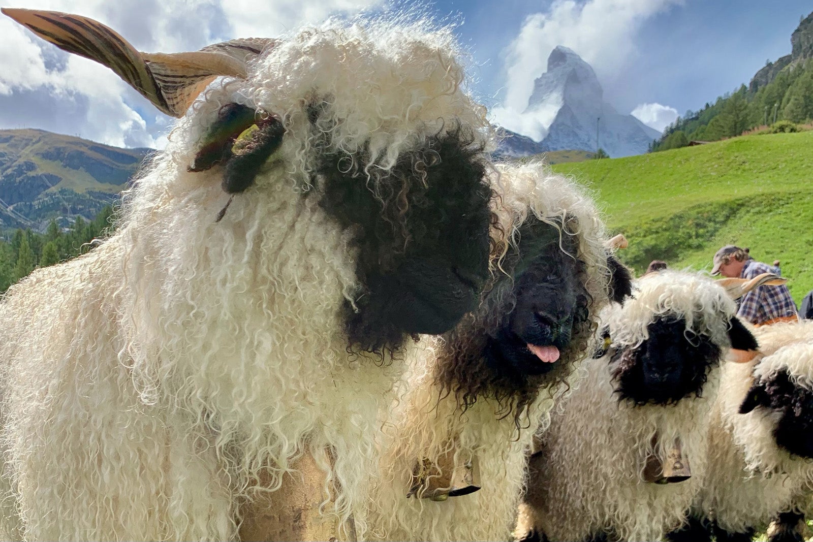 5 reasons I'm so excited about Marriott's new hotel in Zermatt - The ...