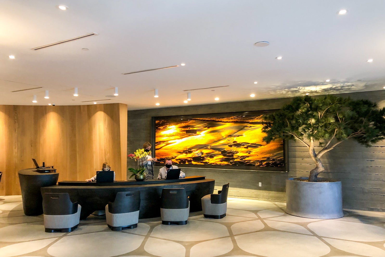 Review: The new Alila Marea Beach Resort Encinitas - The Points Guy