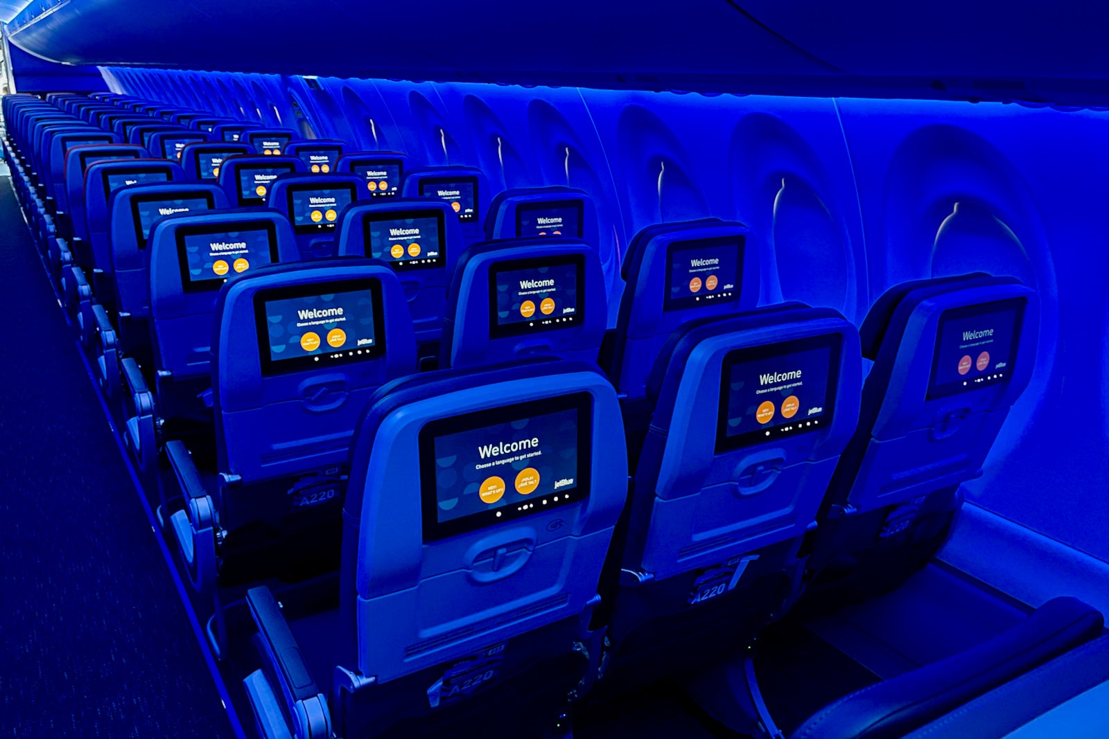 JetBlue Plus vs. JetBlue Premier: Mid-tier or premium? - The Points Guy
