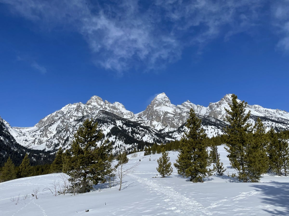 A guide to visiting Grand Teton National Park in the winter - The ...