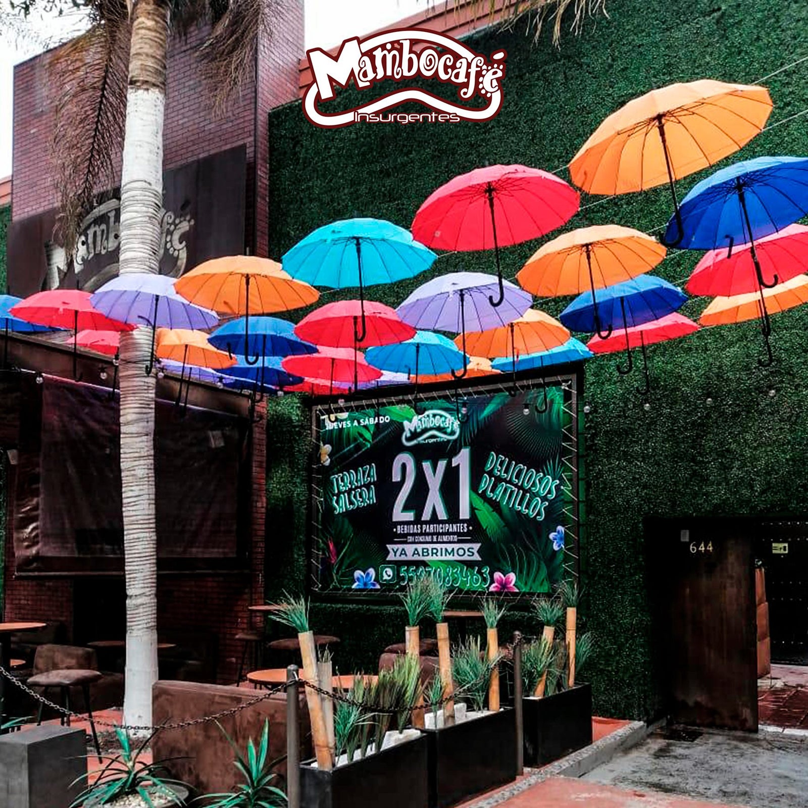 14 best places to eat and drink in Cancun - The Points Guy