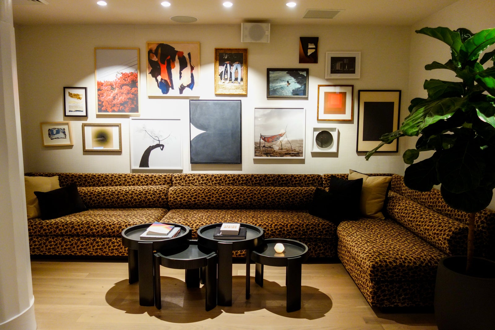 Review: The Kimpton Alton in San Francisco - The Points Guy