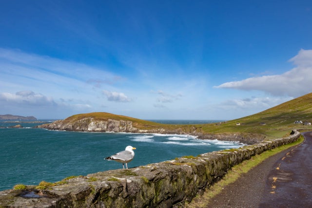 TPG's ultimate guide to the Irish Wild Atlantic Way road trip - The ...