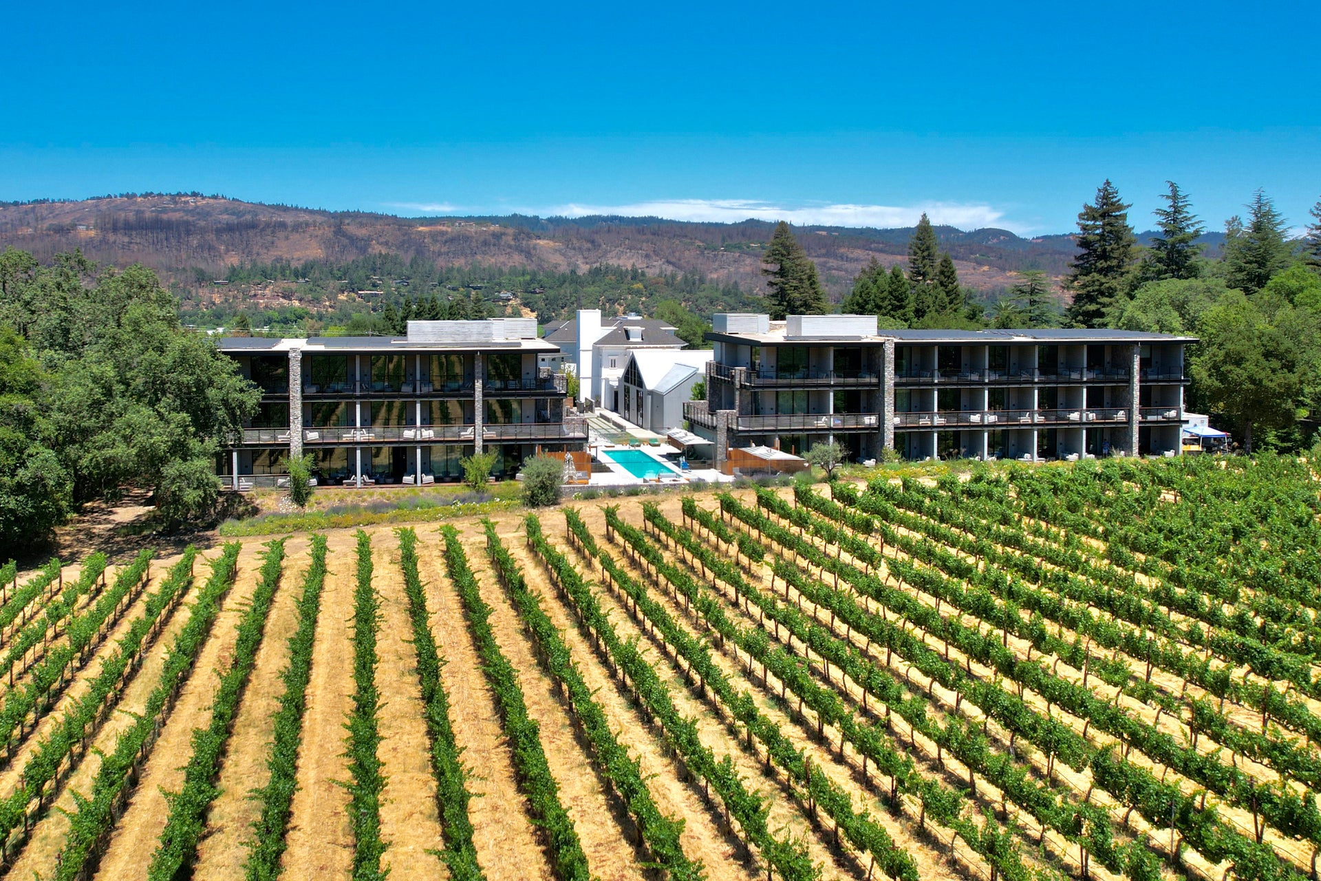 A World of Hyatt steal: Reviewing the top-tier Alila Napa Valley - The ...