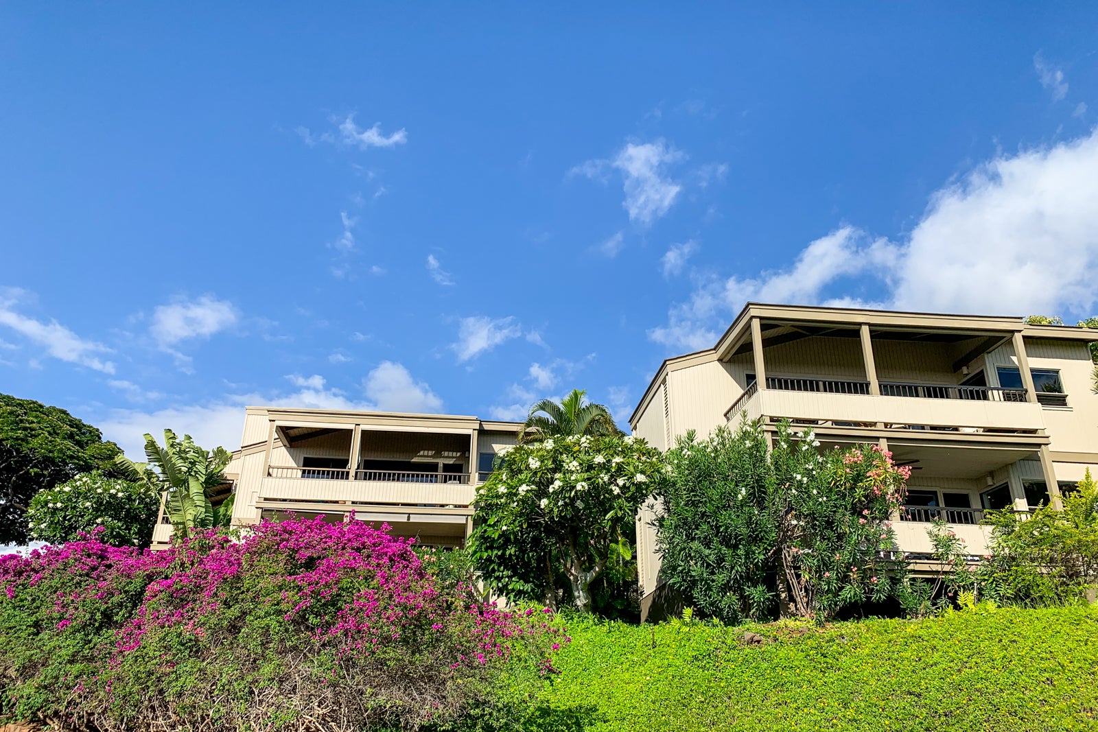 What to know about new resort fees at some Hawaii hotels - The Points Guy