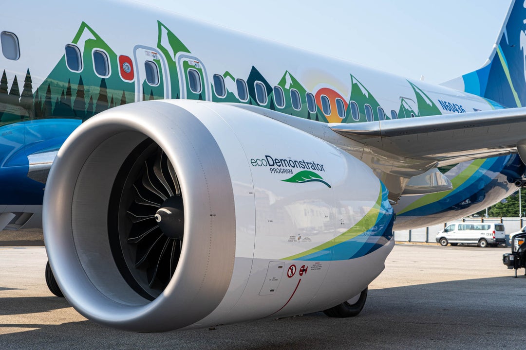 Why airlines have sustainability-themed aircraft - The Points Guy