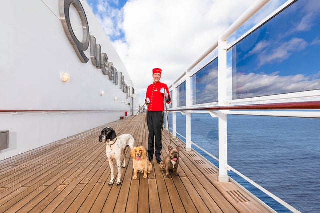Dogs at sea? This cruise will let you bring your canine - The Points Guy