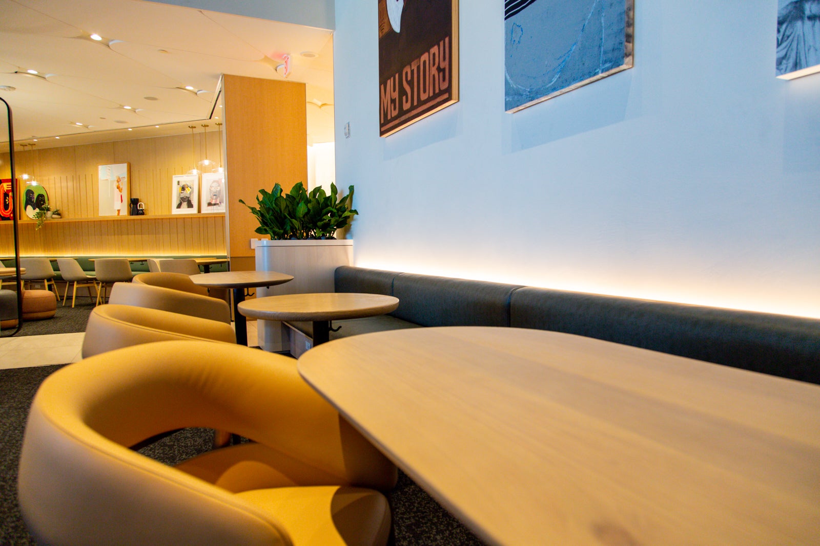 Why Capital One Travel is the one-stop site for booking — and enjoying ...