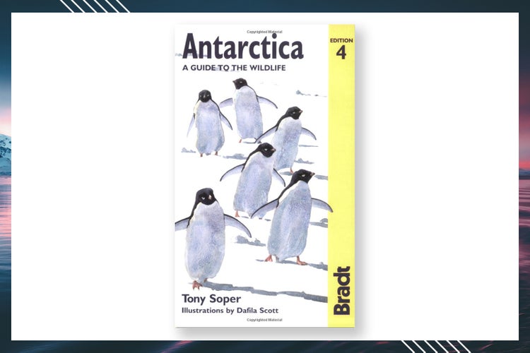 Antarctica reading list: These 8 books are must-reads before a trip to ...