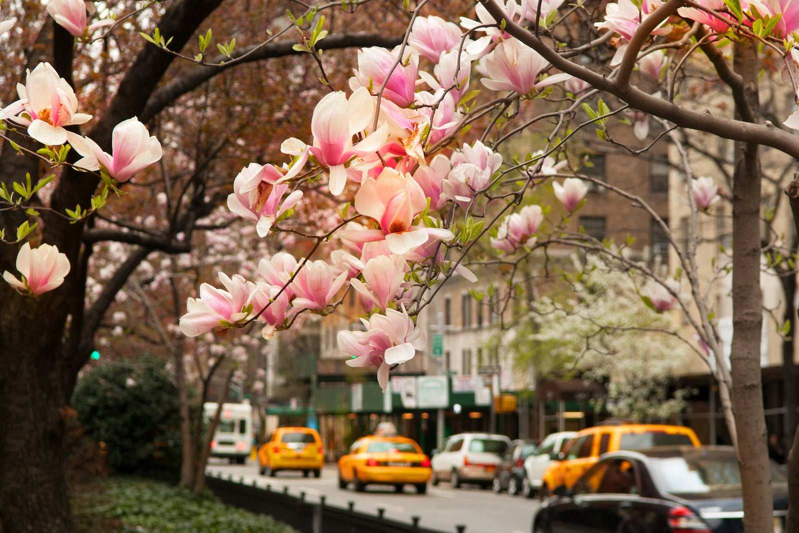 Weekend getaway: Planning a trip for Easter weekend - The Points Guy