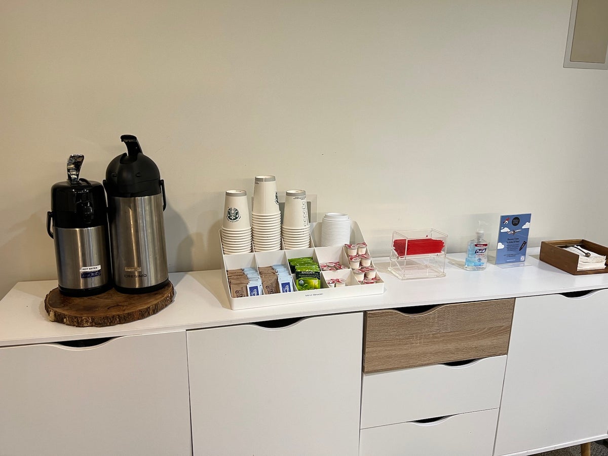 A paws-itive experience: Taking my dog on JSX for her first-ever flight ...