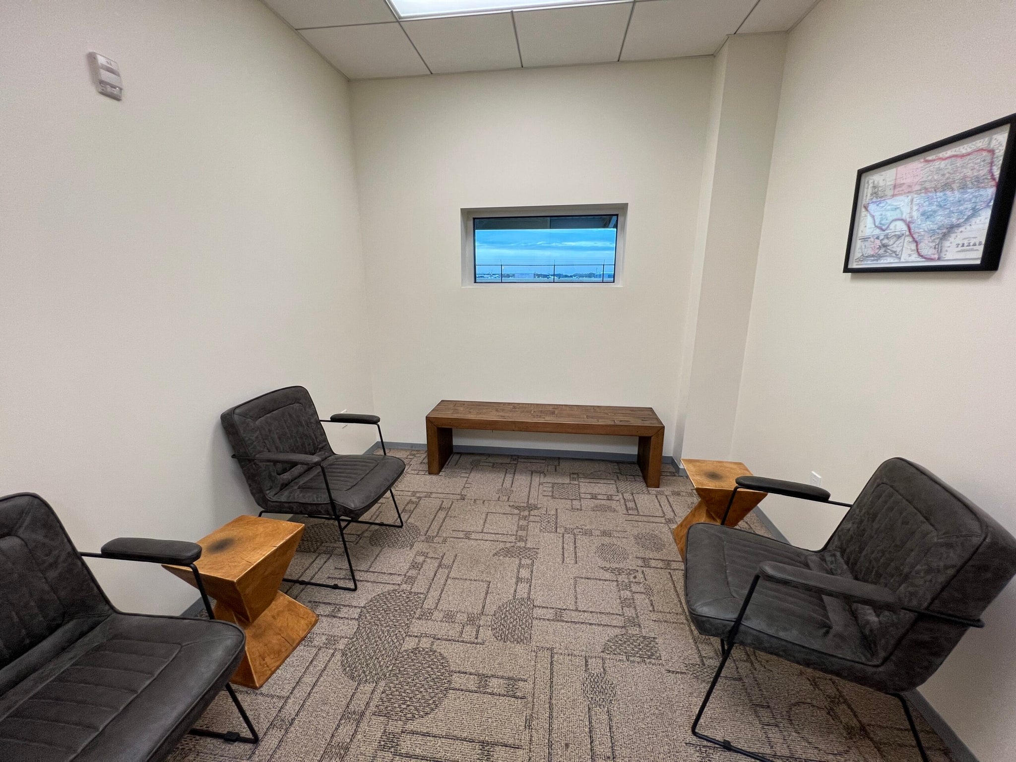 A paws-itive experience: Taking my dog on JSX for her first-ever flight ...