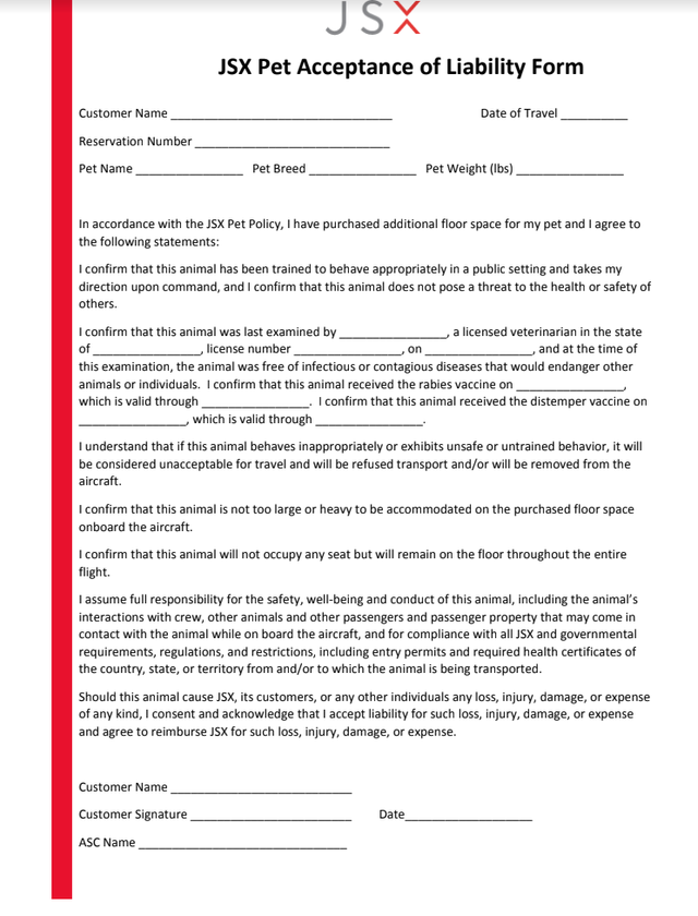 A paws-itive experience: Taking my dog on JSX for her first-ever flight ...