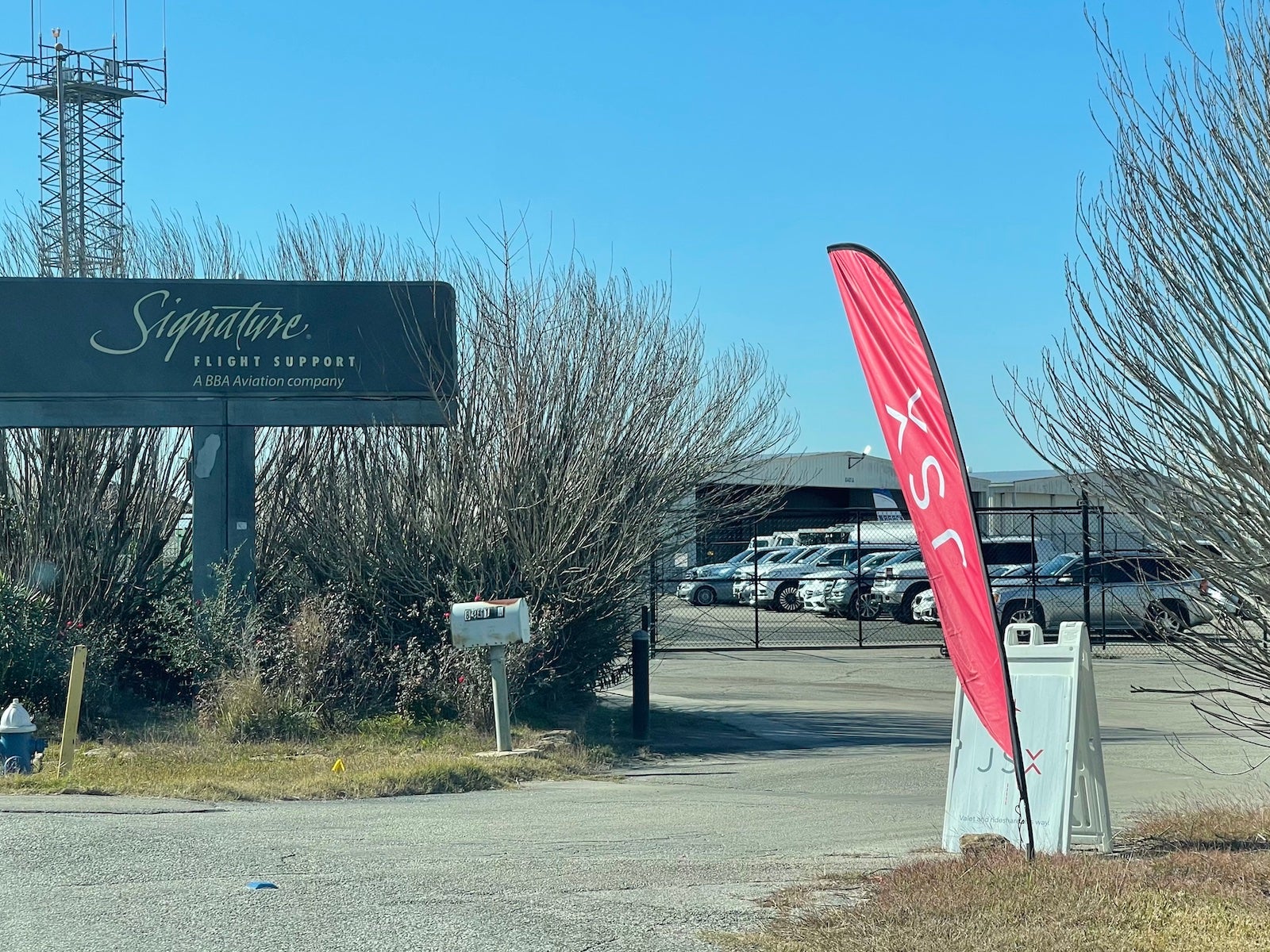 A paws-itive experience: Taking my dog on JSX for her first-ever flight ...