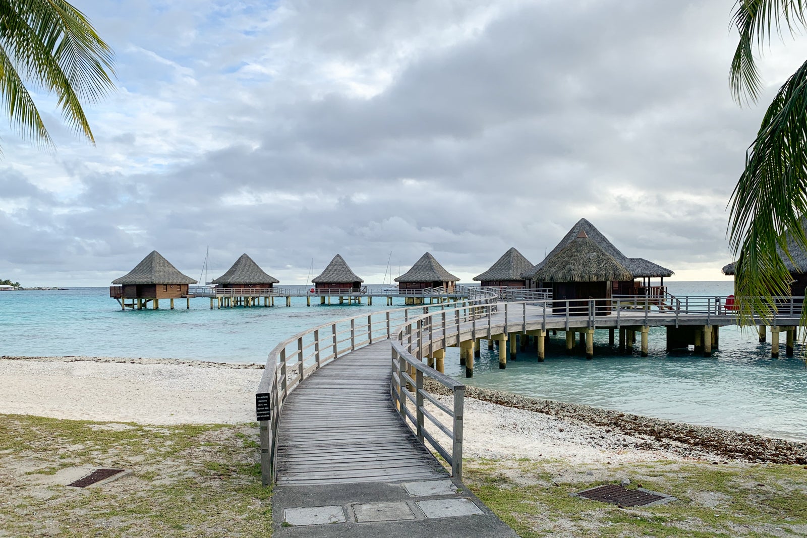 My top things to do in French Polynesia from ATV-ing to whale watching ...