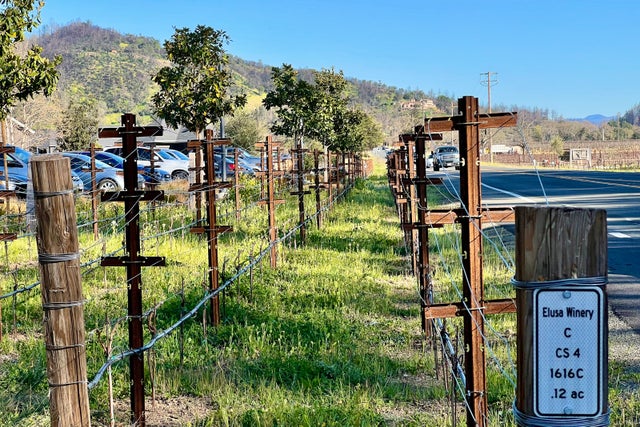 Not entirely ripe: A good-enough stay at the Four Seasons Napa Valley ...