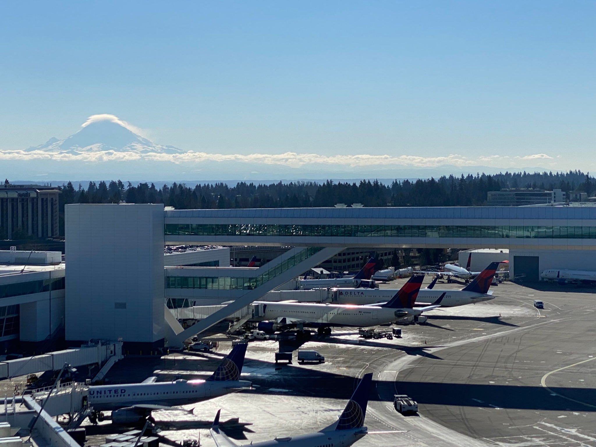 First look: Seattle's much improved International Arrivals Facility ...