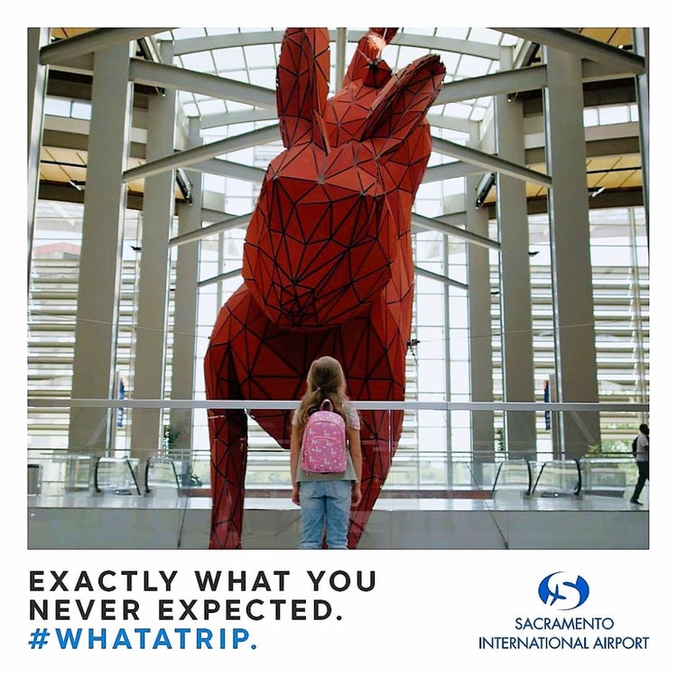 Giant flamingo lands at Tampa International Airport - The Points Guy