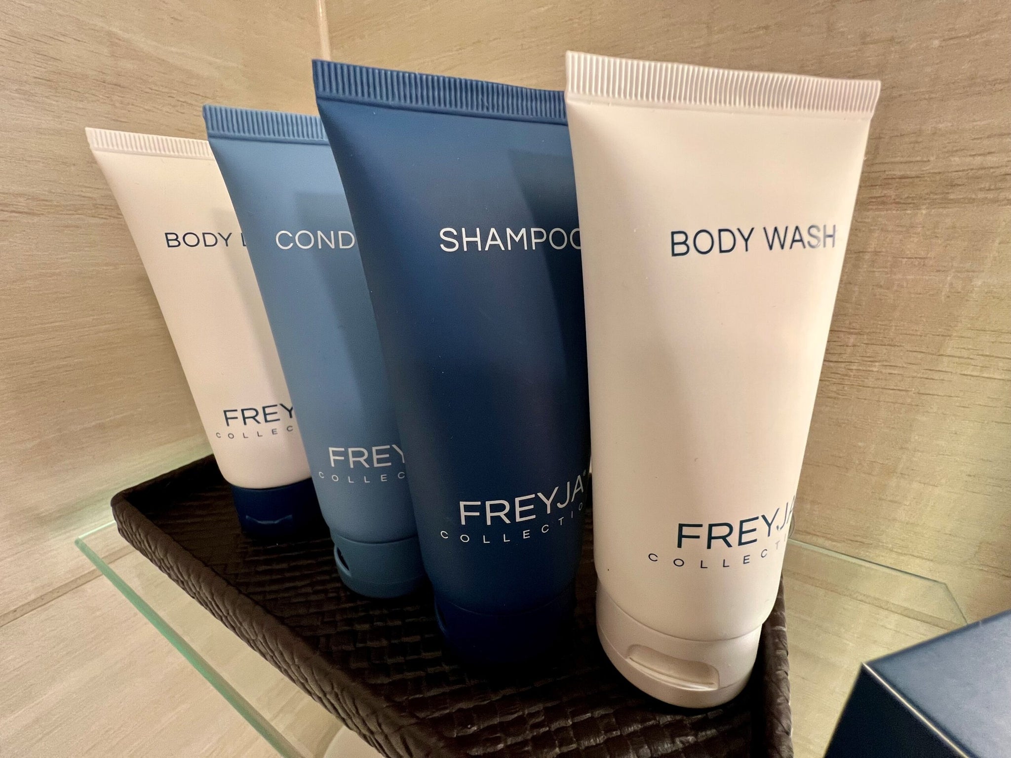 The ultimate guide to Viking cruise ships and itineraries - The Points Guy