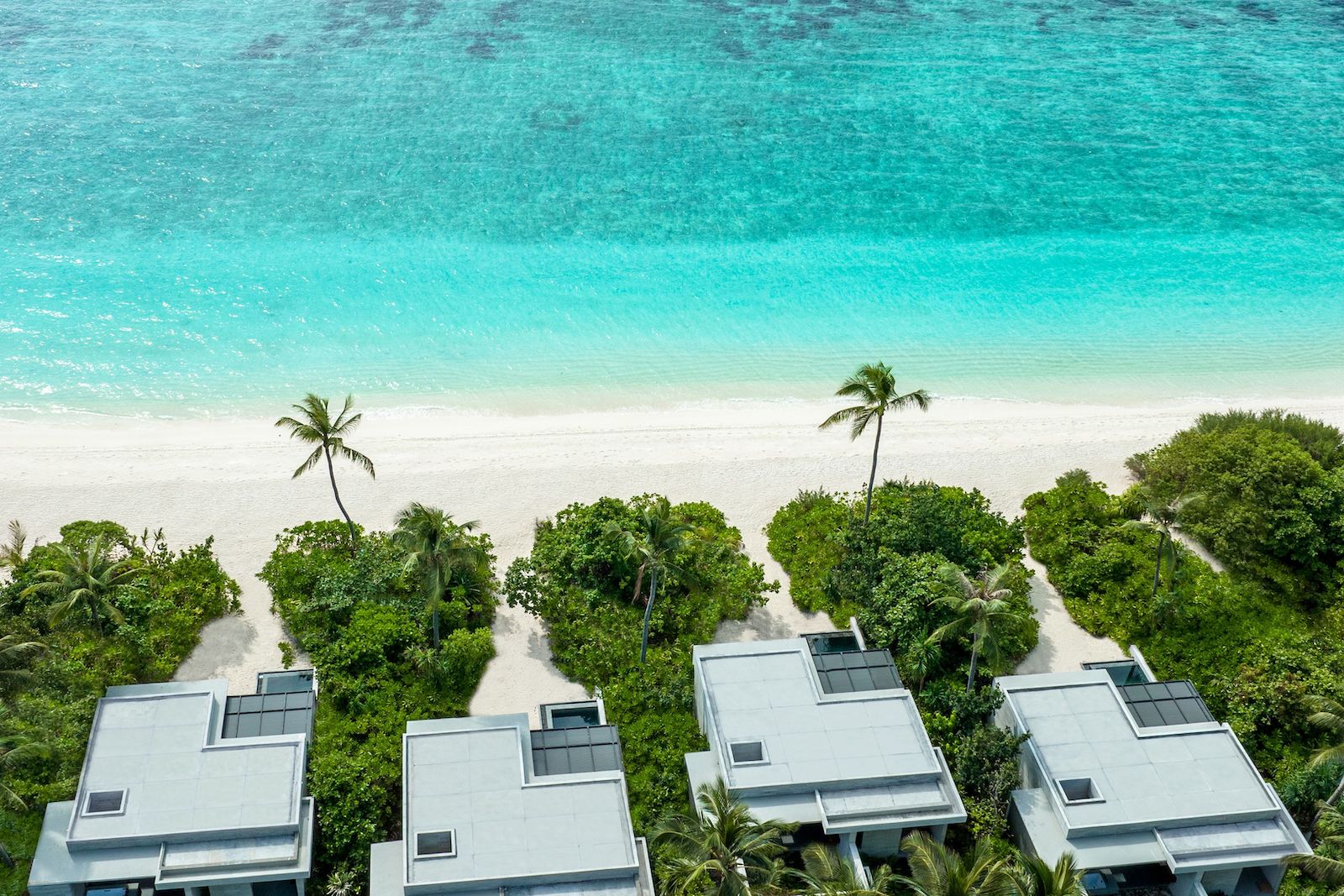 Book Hyatt's new Alila Maldives resort when it first opens for $350 a ...