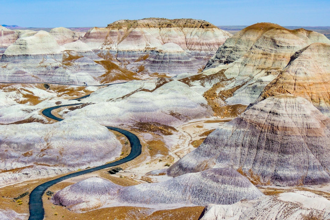 All you need to know about visiting Petrified Forest National Park ...