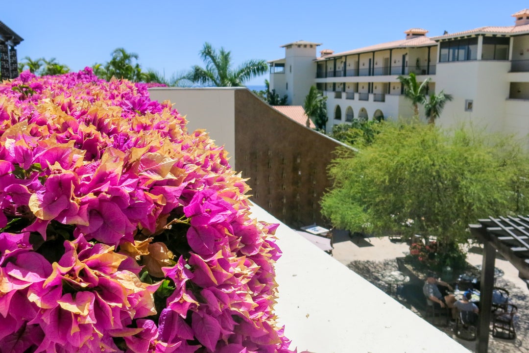 7 things to know before booking a stay at Secrets Puerto Los Cabos Golf ...