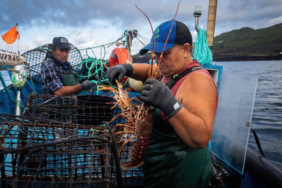 A food and drink guide to the Azores - The Points Guy