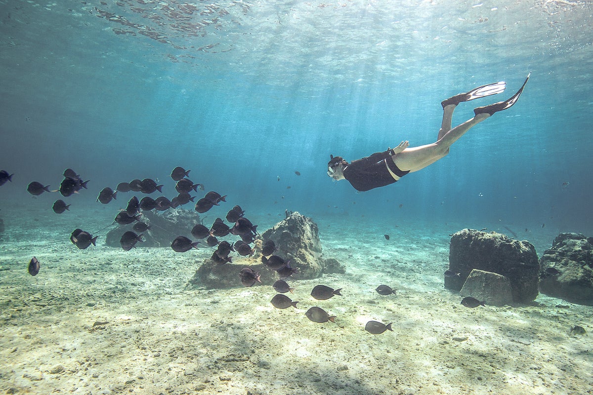 The best shore excursions on Caribbean cruises - The Points Guy