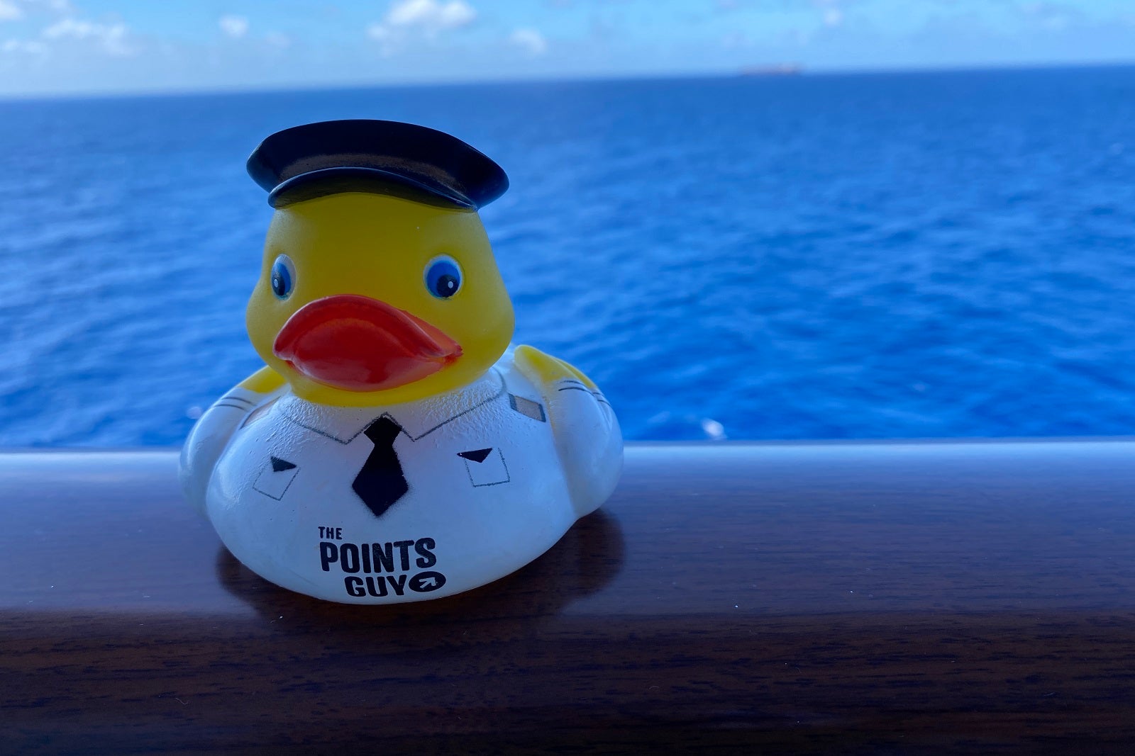The story behind cruise ducks and how to hide your own - The Points Guy
