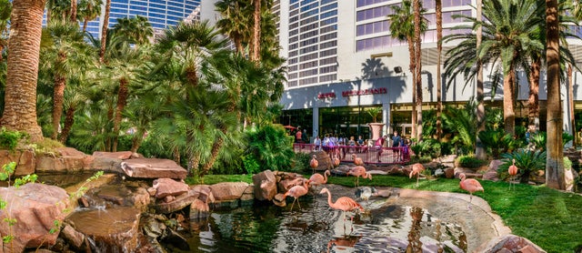 Should Las Vegas be your next family vacation destination? - The Points Guy
