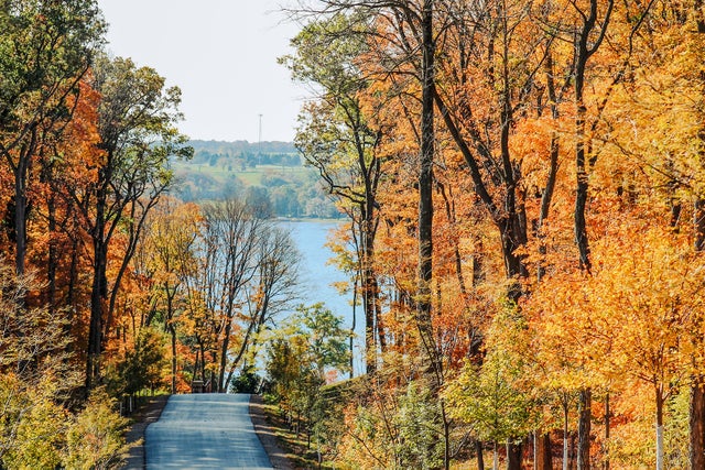 Balloons, boats and bridges: 9 unique fall foliage experiences in the ...