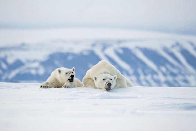 Guide to choosing Indigenous travel experiences - The Points Guy