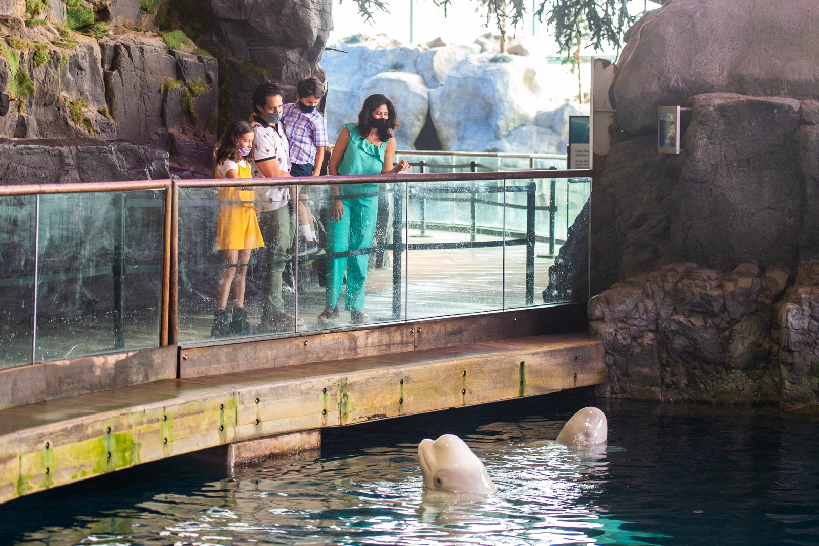 Best fall break destinations for families - The Points Guy