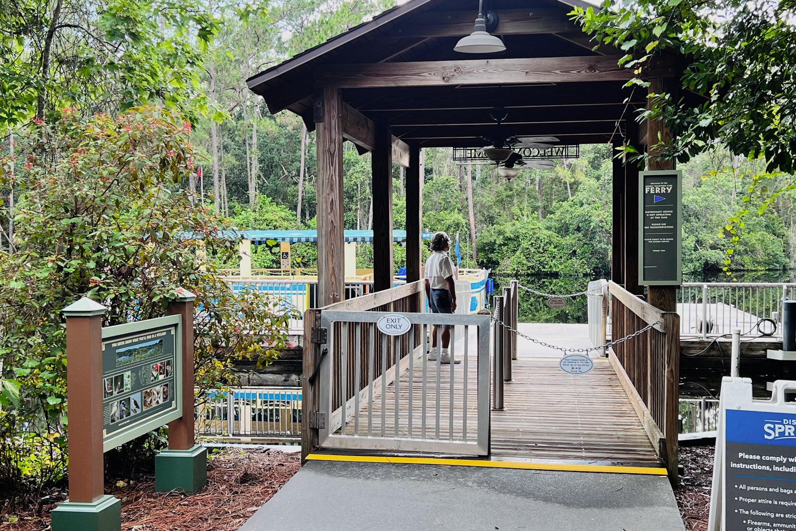 A hidden gem in plain sight: What it's like at Disney World's Treehouse Villas - The Points Guy