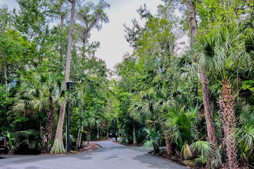 A hidden gem in plain sight: What it's like at Disney World's Treehouse ...