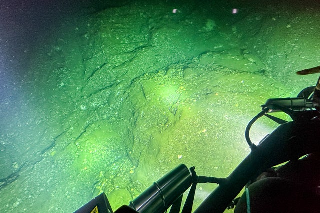 1,000 feet under the sea: What it's like to ride a cruise ship ...