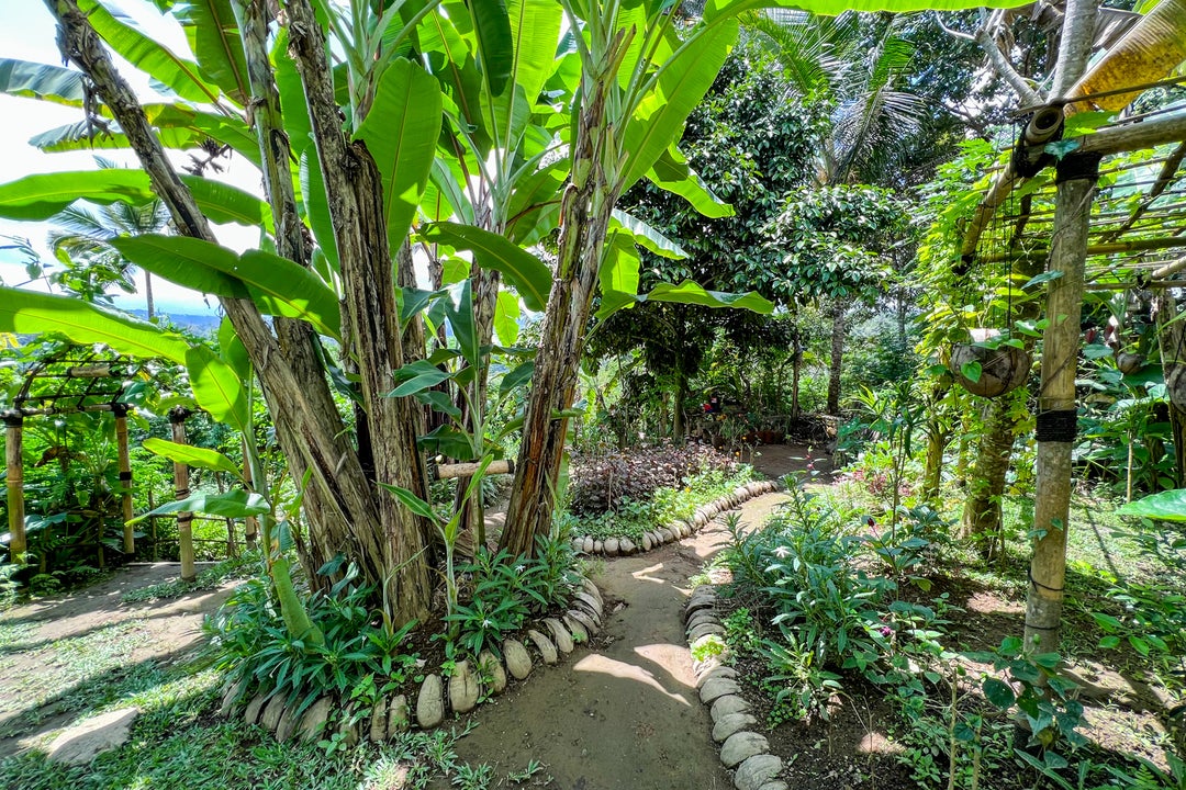 Inside Buahan, Banyan Tree’s first ever Escape resort in Bali - The ...