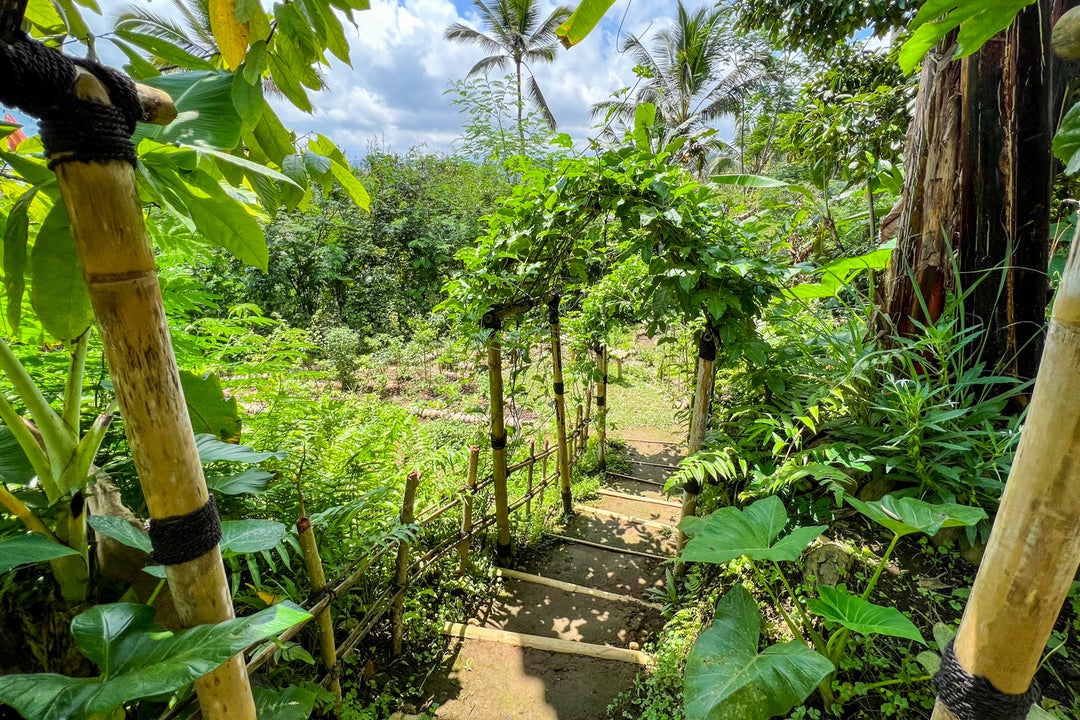 Inside Buahan, Banyan Tree’s first ever Escape resort in Bali - The ...