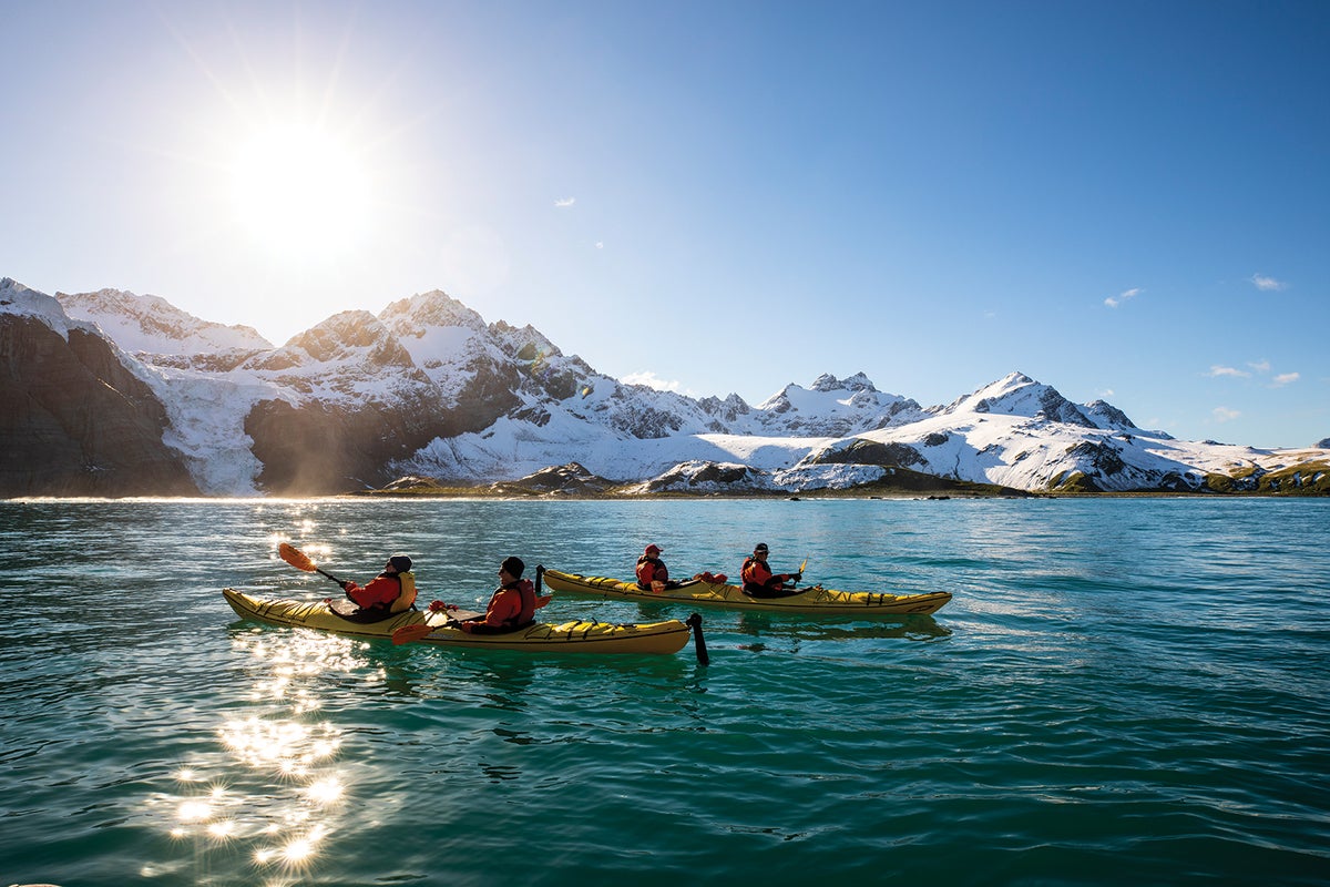 Expedition cruises: The ultimate guide to cruising to remote, hard-to ...