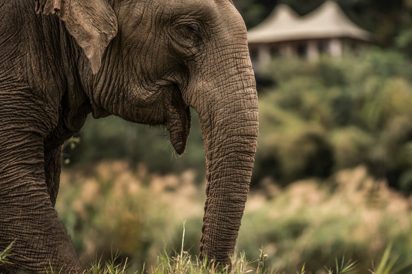 Amazing around-the-world private jet journeys - The Points Guy