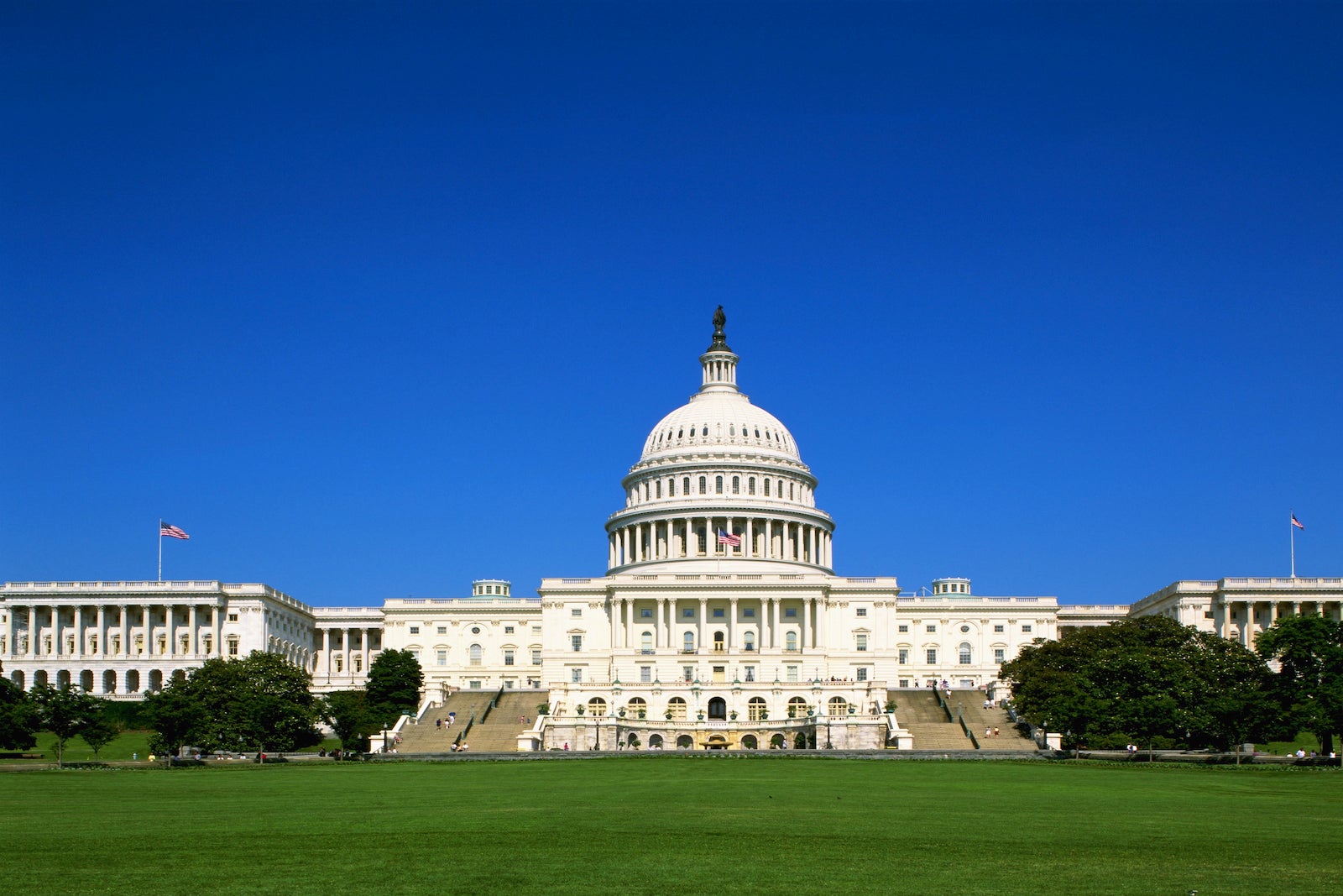 New technology connects cities with real-time digital 'portals' - The ...