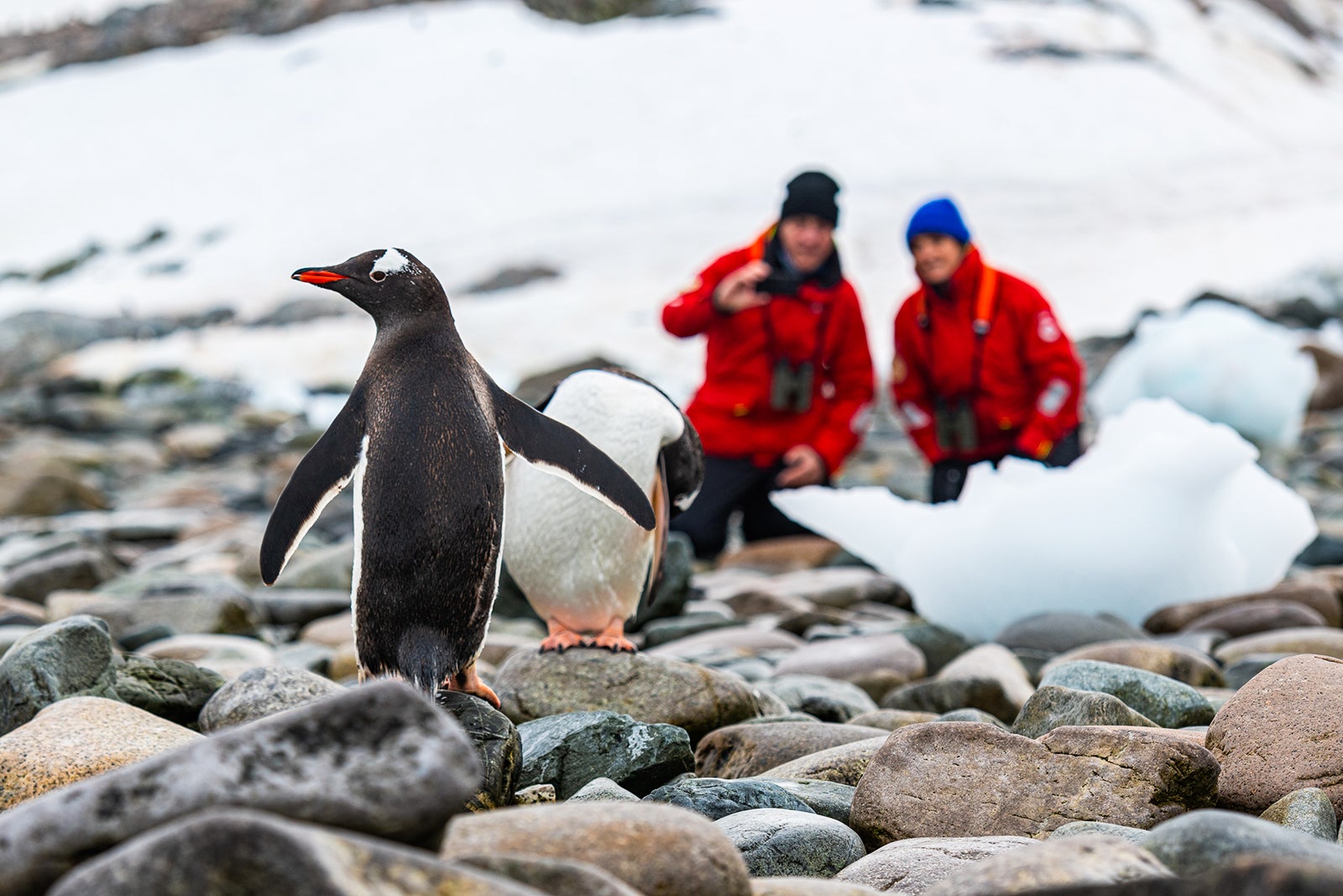 Types of cruises you need to try at least once in your life - The ...