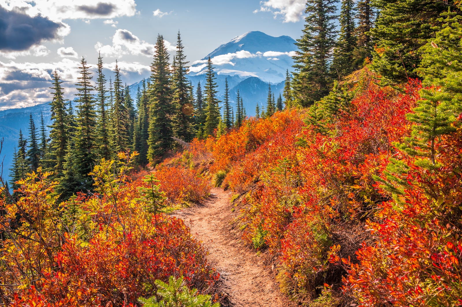 Here's where you can see fall foliage across the US in 2024 - The ...